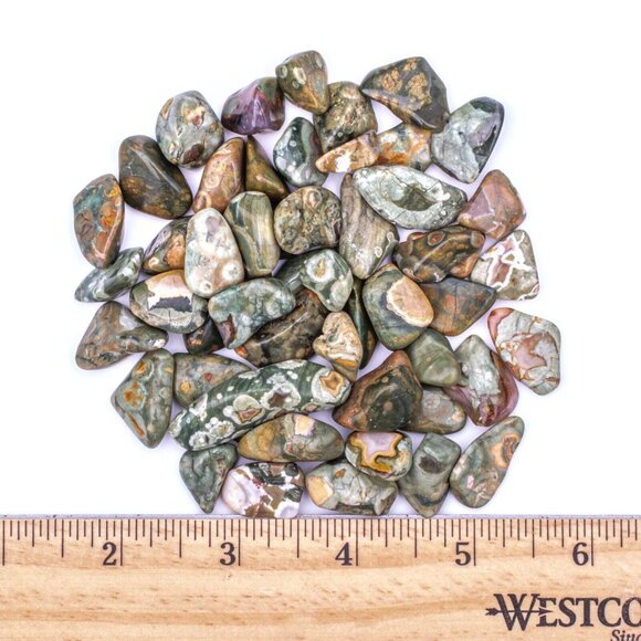Tree Of Life Gems | Office | 4 Lb Tumbled Rainforest Rhyolite Jasper ...